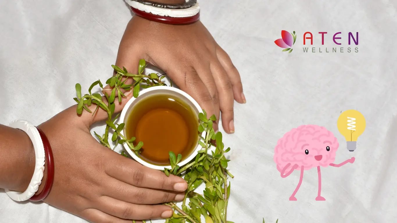 How to Use Brahmi Powder for Brain? - Aten Wellness